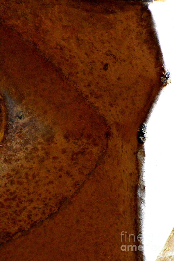 Nude In Rust Photograph By Newel Hunter Fine Art America