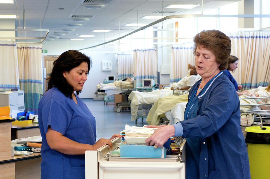 Nurses Checking Patient Notes Photograph by Mark Thomas/science Photo ...
