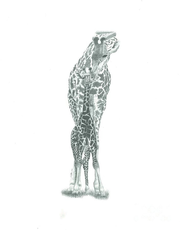 Nuturing Drawing by Ronald Scott - Fine Art America