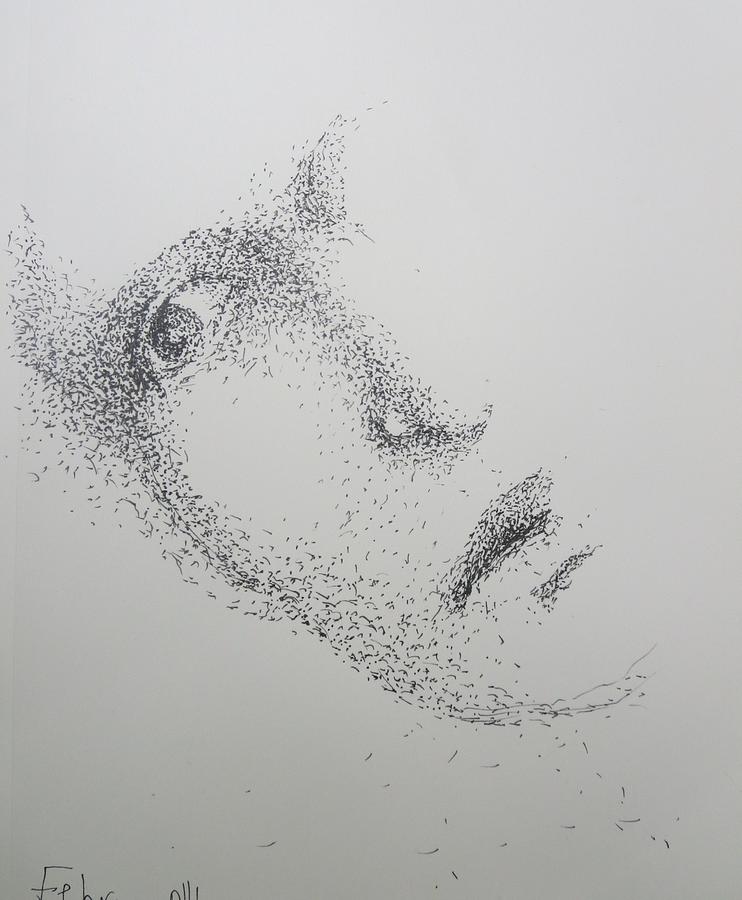 Observant Drawing by Branislava Duranovic - Fine Art America