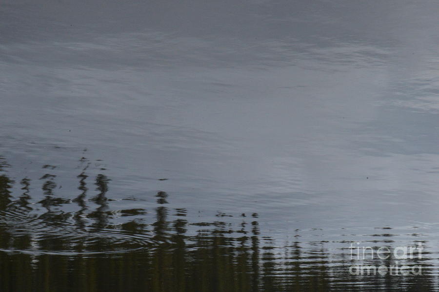 Ocean commotion Photograph by Brian Boyle - Fine Art America