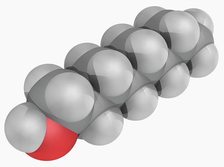 Octanol Molecule Photograph by Laguna Design/science Photo Library