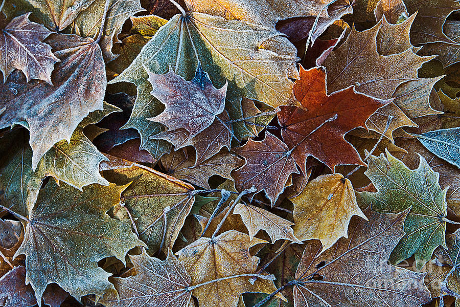 October Photograph by Dmitriy Viktorov - Fine Art America