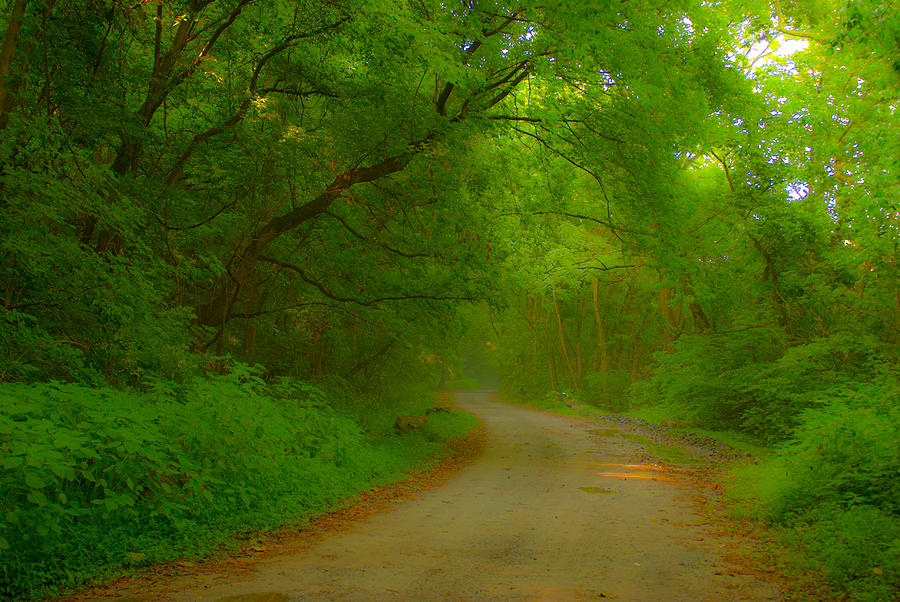 Off the Map Photograph by Eric Weiss - Fine Art America