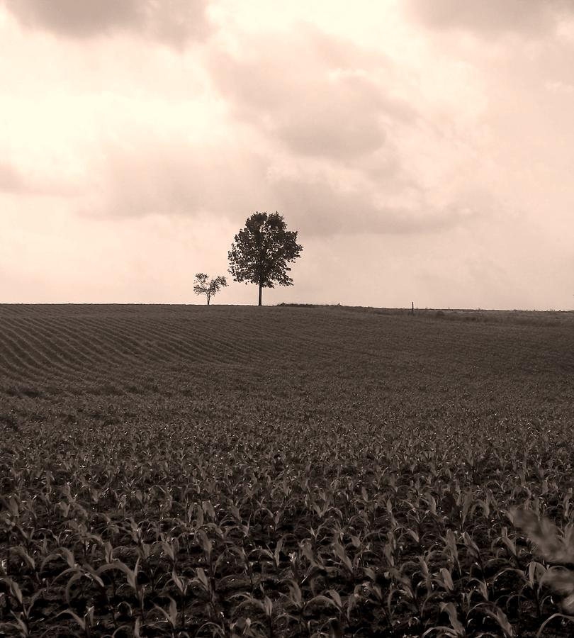 Ohio Fields Photograph by Heather Bice - Fine Art America