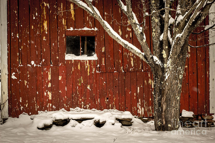 Old Barn Side in Winter Photograph by Christopher Jones - Fine Art America