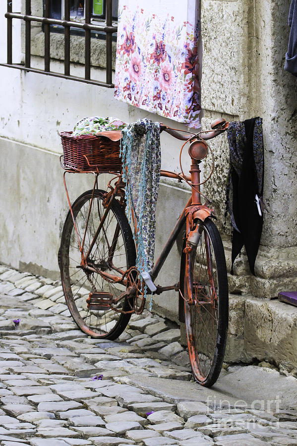 Old Cycle Photograph by Paul Daniels - Fine Art America