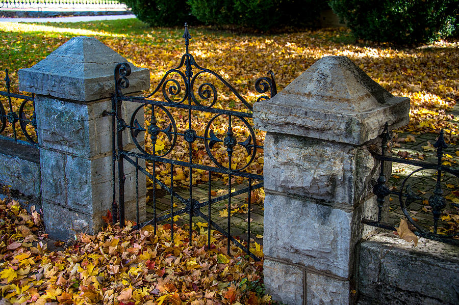 Old Gate Photograph by Greg Conway - Fine Art America