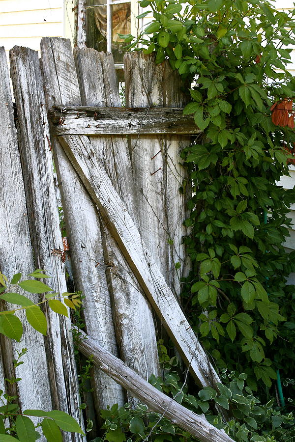 Old Gate Photograph by Michael Barbee - Pixels