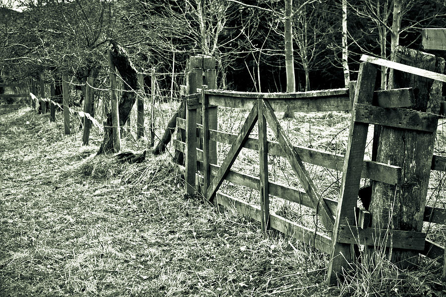 Old Gate Photograph by Tom Gowanlock - Fine Art America