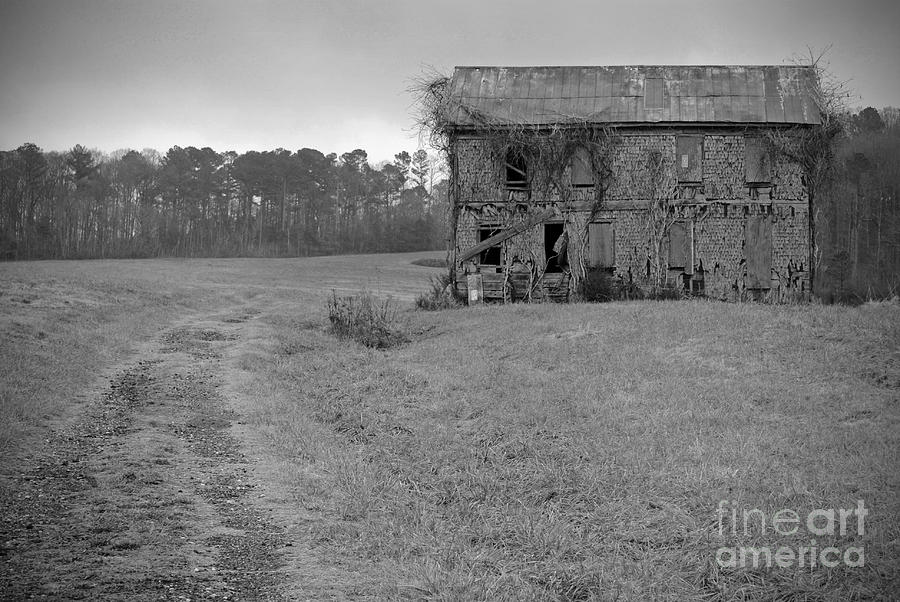 Old House Path Photograph by Jost Houk | Fine Art America