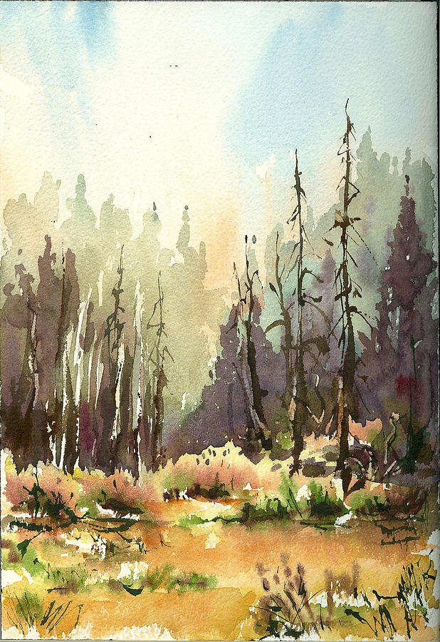 Old Trees Painting by Seth Johnson - Fine Art America