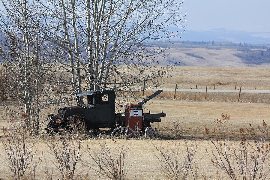 Old Truck Installation Spring Photograph by Annie DeMilo - Fine Art America