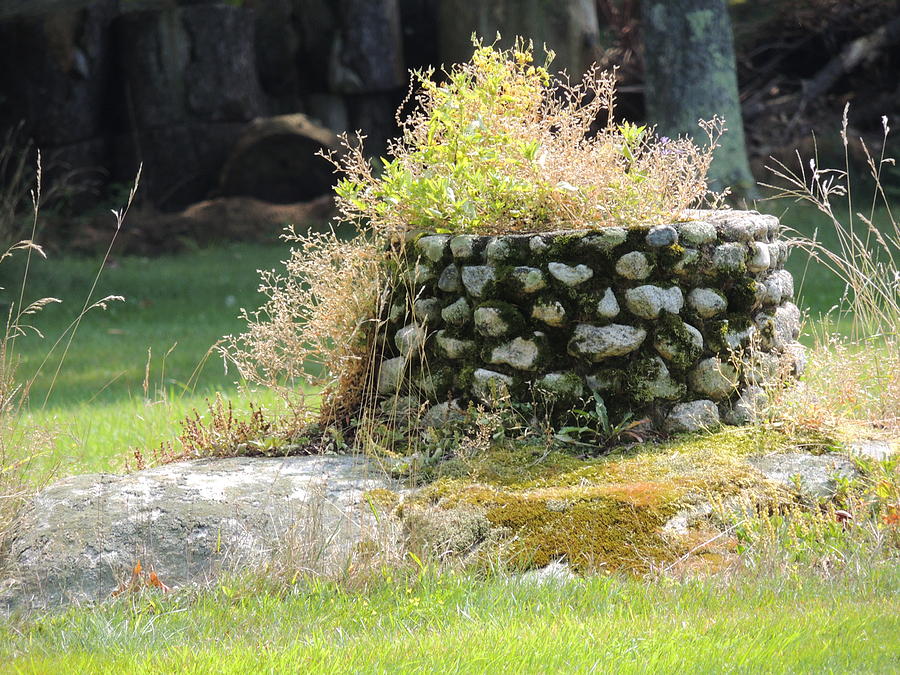 Old well Photograph by Jonathon Thorpe - Fine Art America