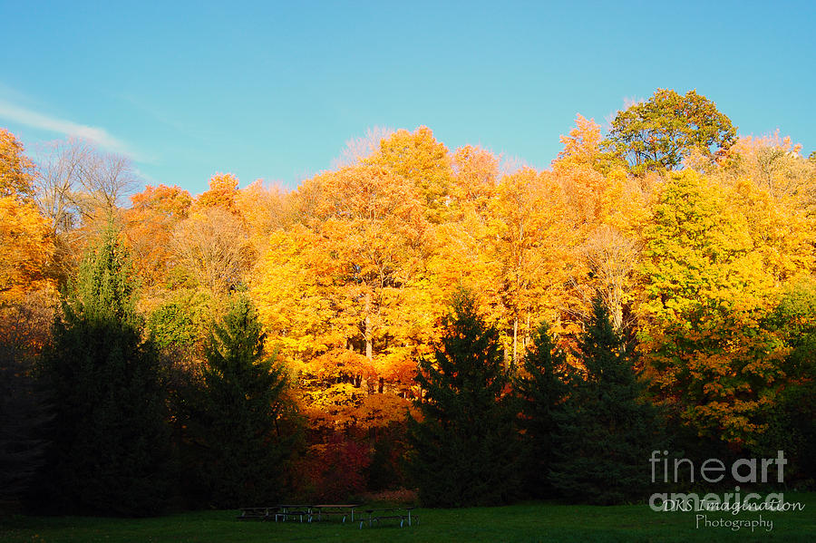 One Bright Autumn Day Photograph by DKS Imagination - Fine Art America