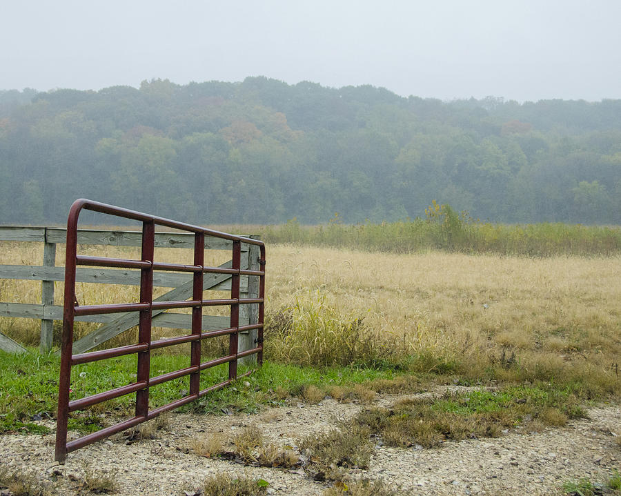 Open Gate Photograph by Shane McCallister | Pixels