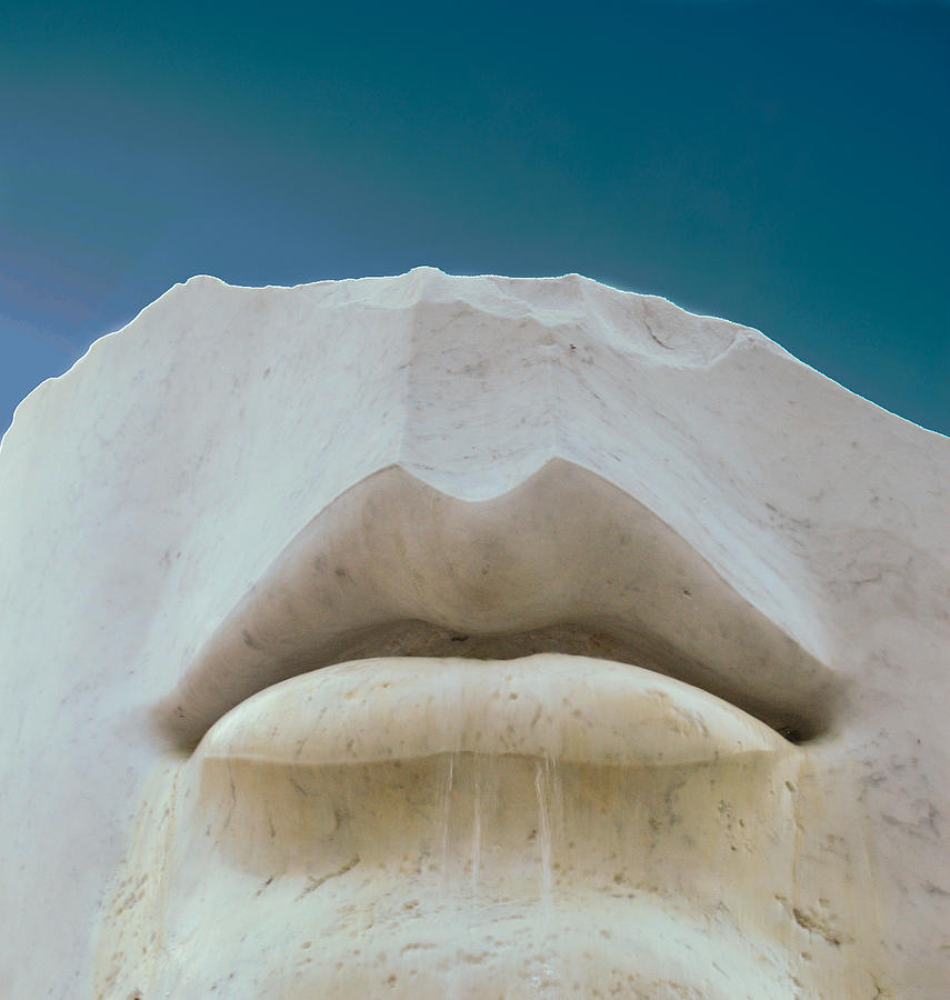Open Mind Photograph by Wayne King - Fine Art America