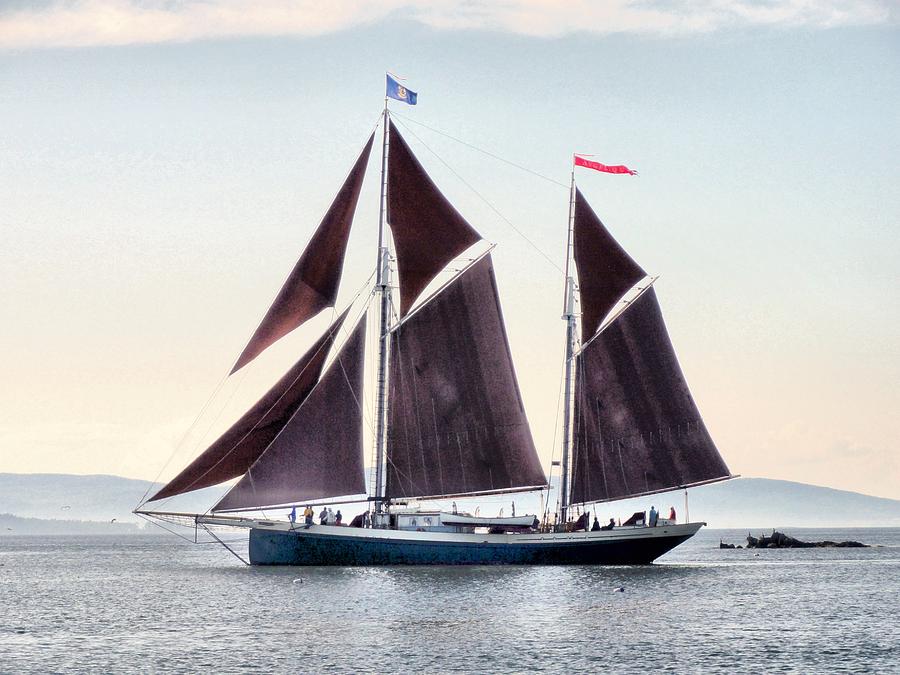 Open Sail Photograph by Michael Lopes - Fine Art America