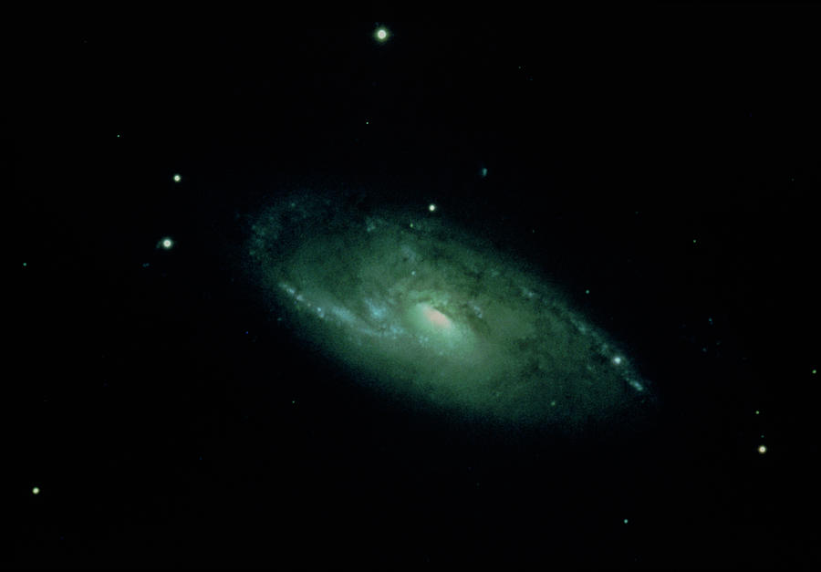 Optical Image Of Spiral Galaxy M106 Photograph by Us Naval Observatory/science Photo Library ...