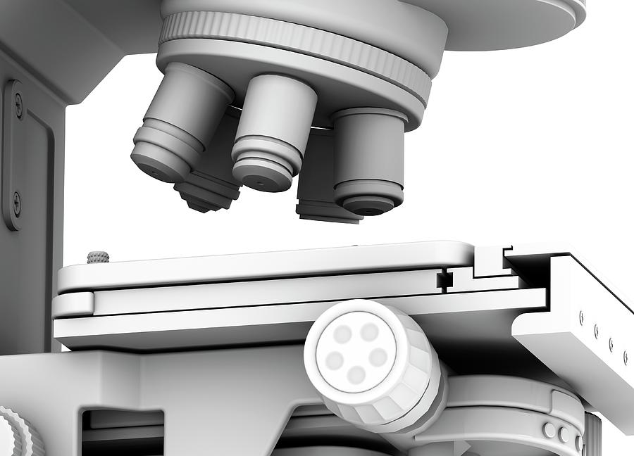 Optical Light Microscope Photograph by Alfred Pasieka/science Photo ...