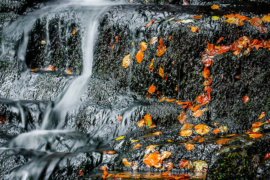Orange and Black Waterfall Photograph by David McAlpine - Pixels