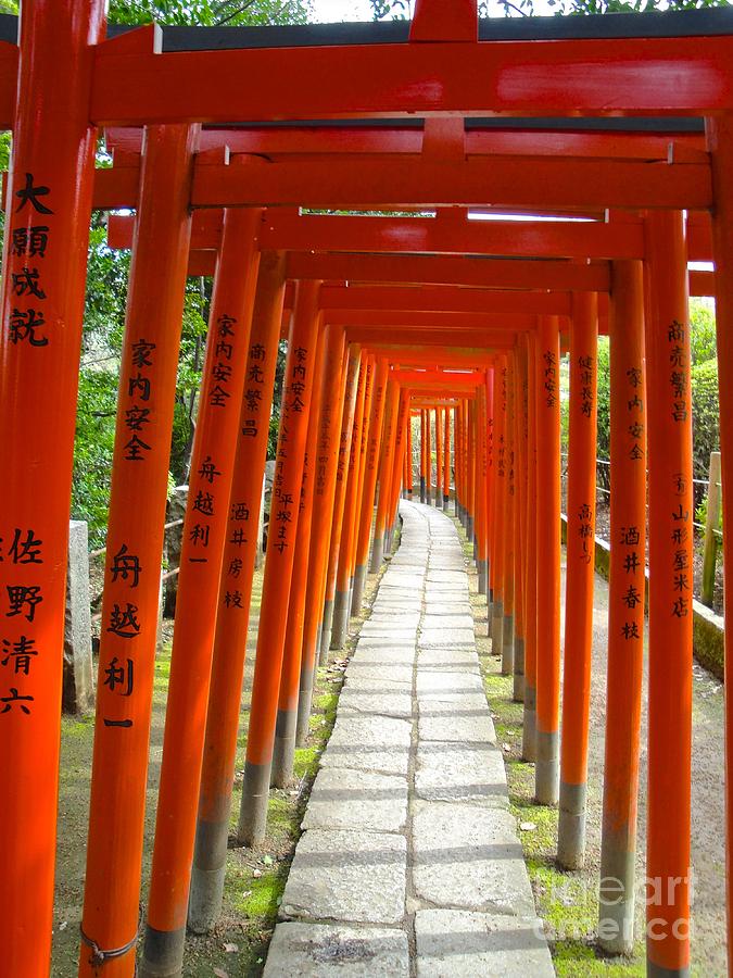 Oriental Perspective Photograph by Janet Herbert - Fine Art America