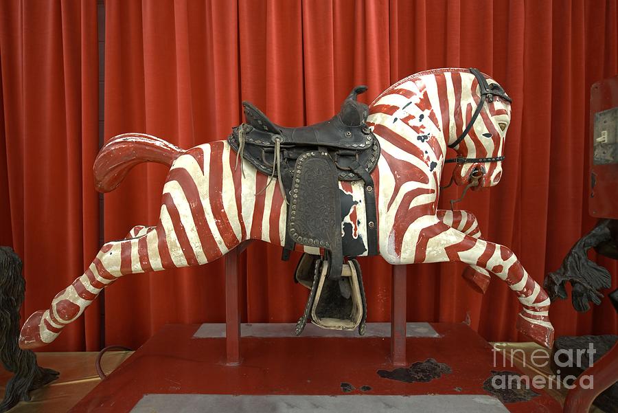 Original Zebra Carousel Ride Photograph by L Wright - Fine Art America