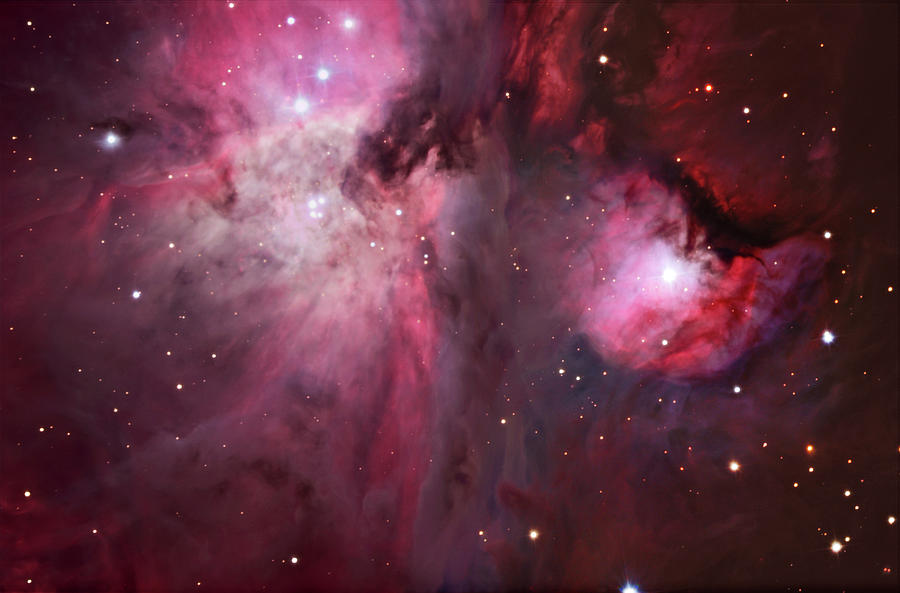 Orion Nebula Photograph by Robert Gendler & Jim Misti/science Photo Library | Fine Art America