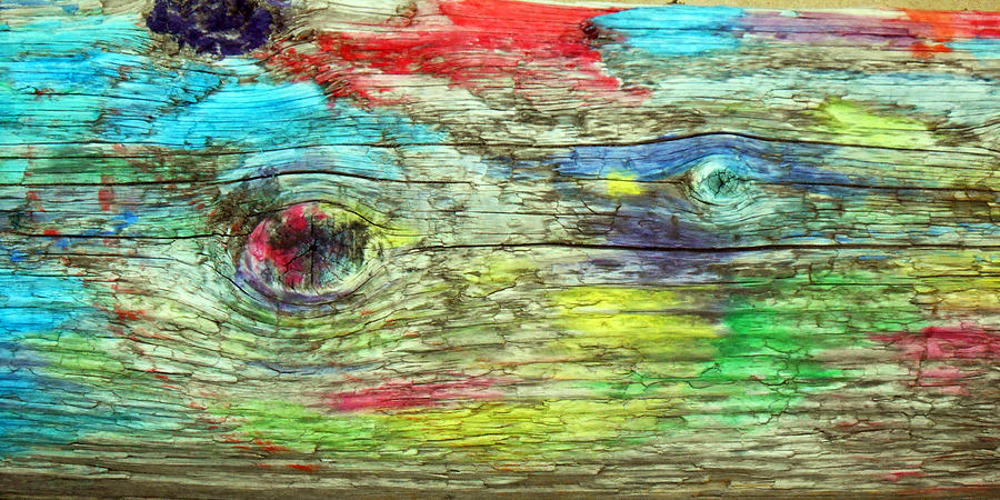 Painted Log 1 Photograph by Michael Durst - Fine Art America