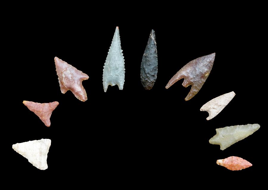 Palaeolithic Arrowheads Photograph by Pascal Goetgheluck/science Photo ...