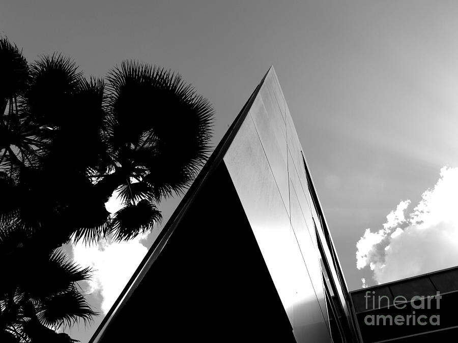 Palm Engineering Photograph by Craig Pearson - Fine Art America