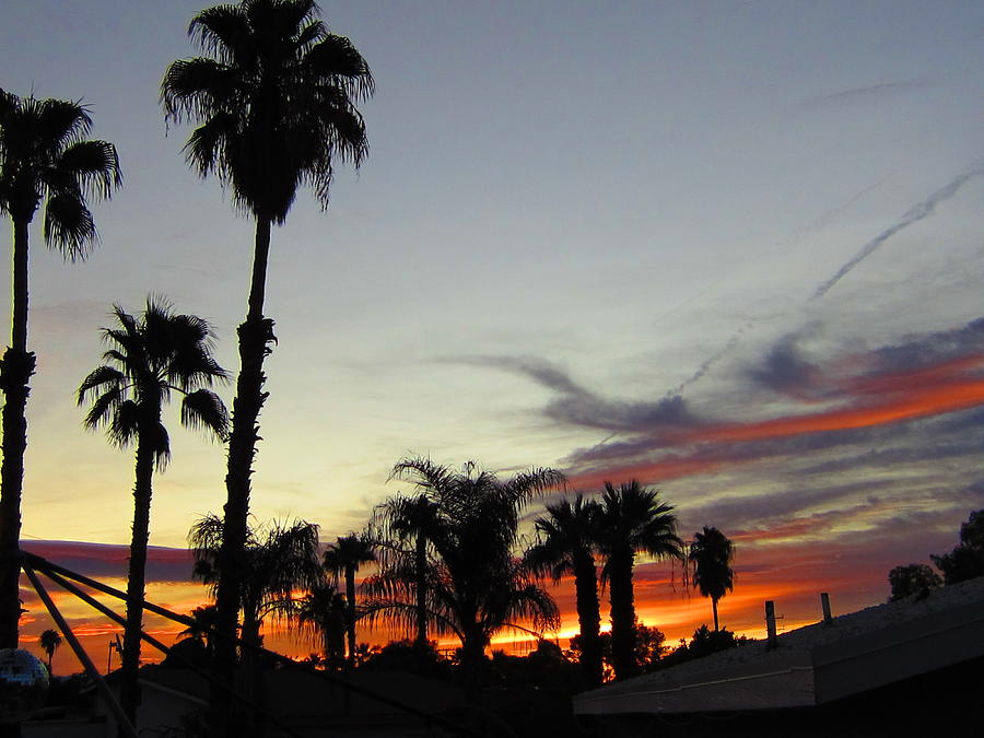 Palm Springs Sunrise Photograph by Ali Rush - Fine Art America