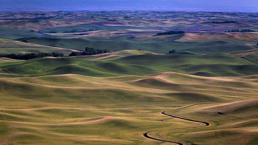 Palouse Photograph by Anthony J Wright - Fine Art America