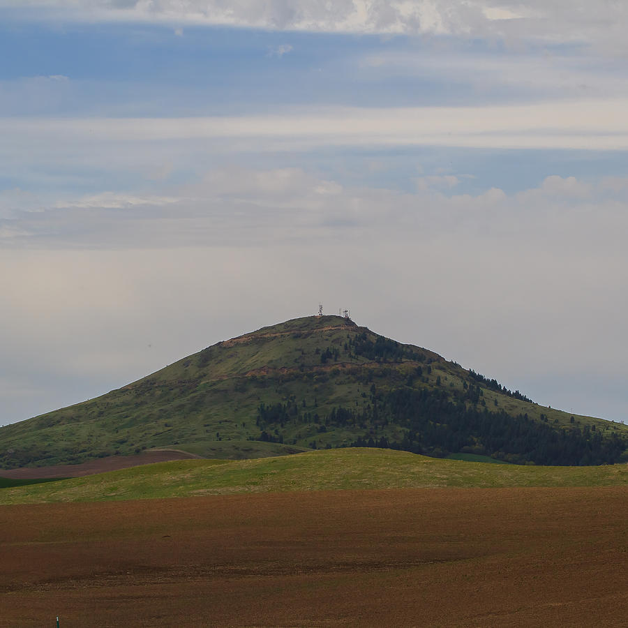 Palouse Photograph by Gary Deck - Pixels
