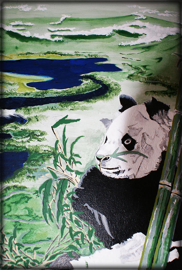 Panda Photograph by Joe Bledsoe - Fine Art America