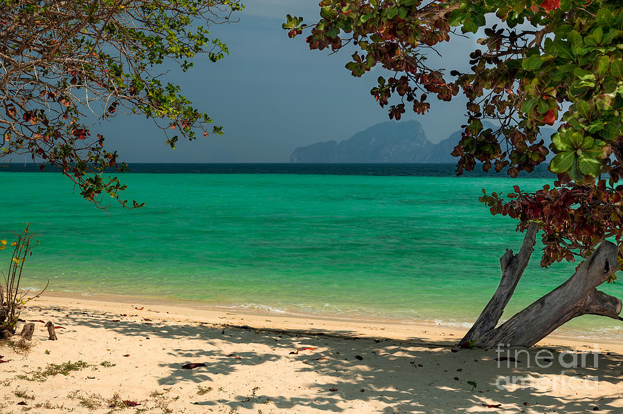Paradise Found Photograph by Adrian Evans - Pixels