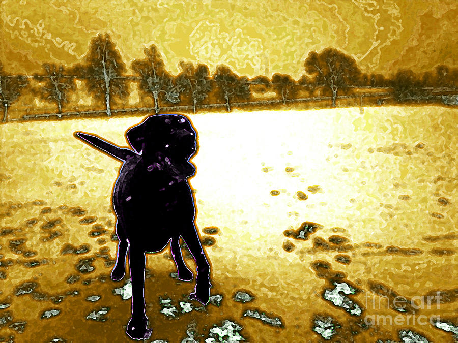 Park Digital Art by Aaron Ransome - Fine Art America