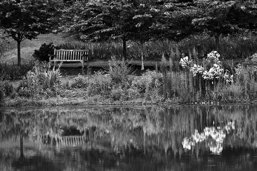 Park Bench Photograph by Guy Shultz - Fine Art America