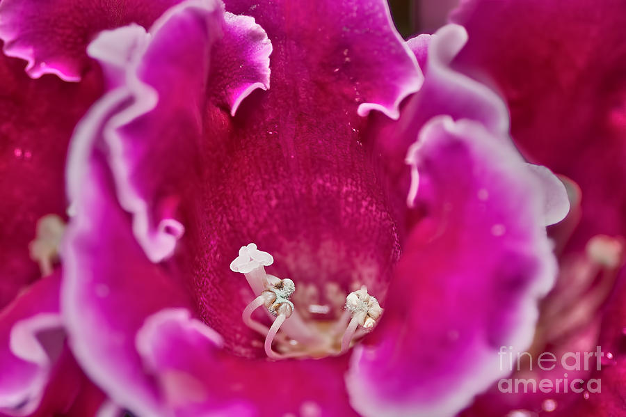 Particularity Photograph by Jon Mack - Fine Art America