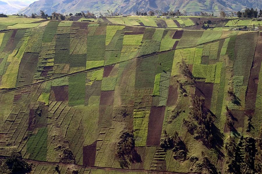 Patchwork Fields by Science Photo Library
