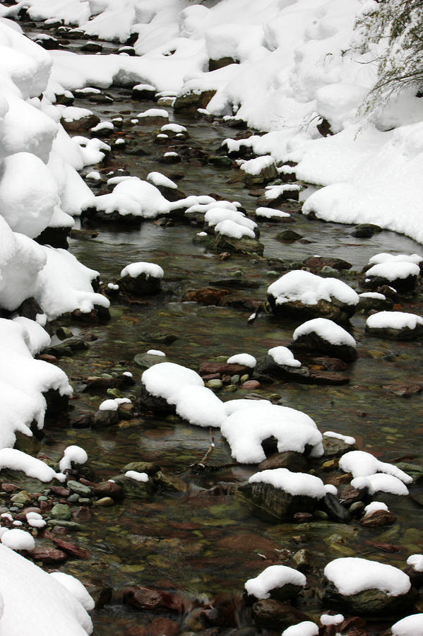 Patchwork snow Photograph by Connie Zarn - Fine Art America