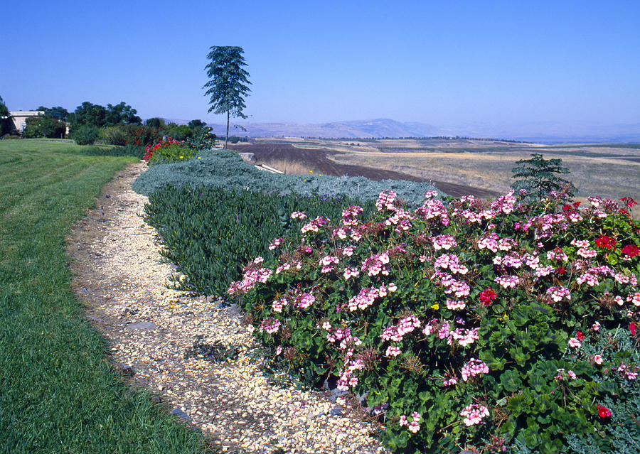 Path and Flower Border Photograph by Daniel Blatt - Pixels