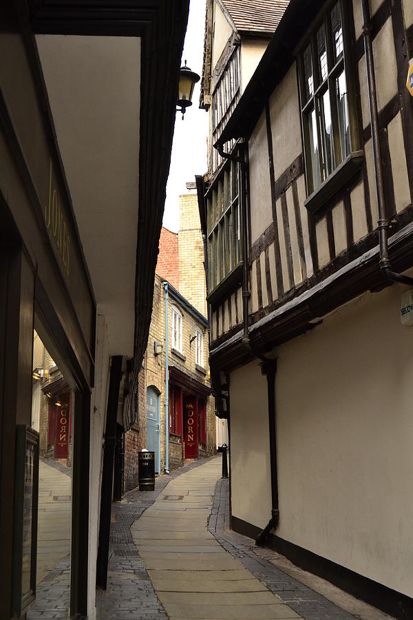 Path Photograph by Daragh Kirke - Fine Art America