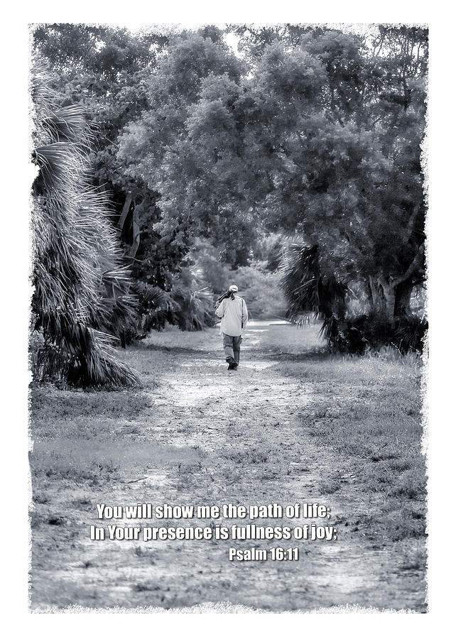 Path Psalm Photograph by Mark Baker - Fine Art America