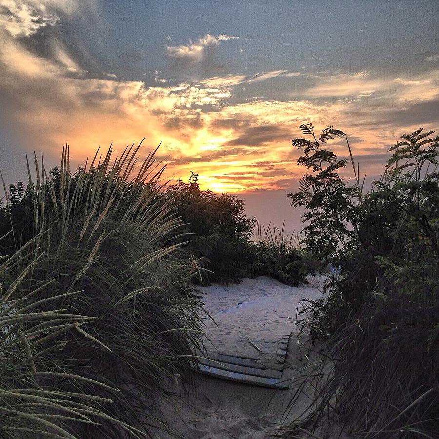 Path to Tranquility Photograph by Heather Bodkin - Fine Art America