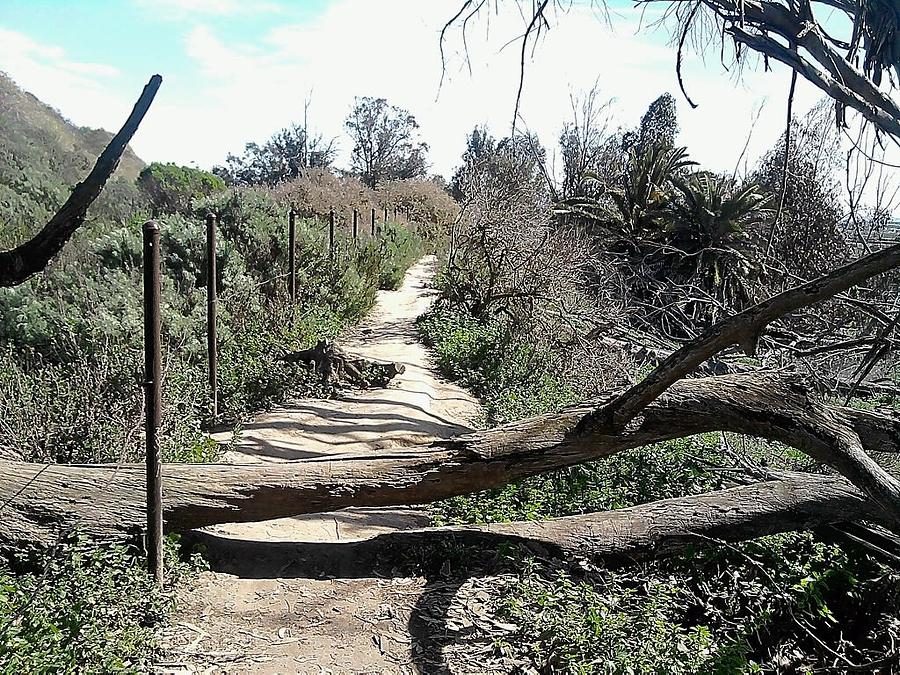 Paths with shape trails Photograph by Barbara Leon - Pixels