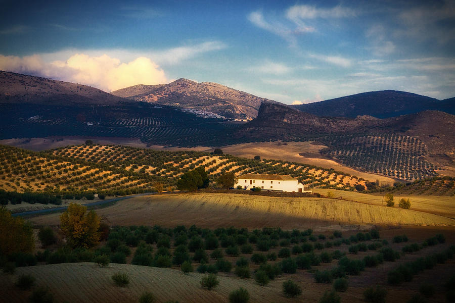 Patterned Landscape Photograph by Levin Rodriguez | Pixels