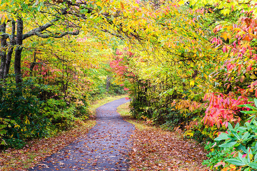 Peaceful Path Photograph by Chris Smith - Fine Art America