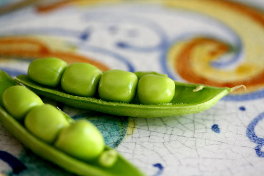 Peapod Photograph by Elena Crouch - Fine Art America