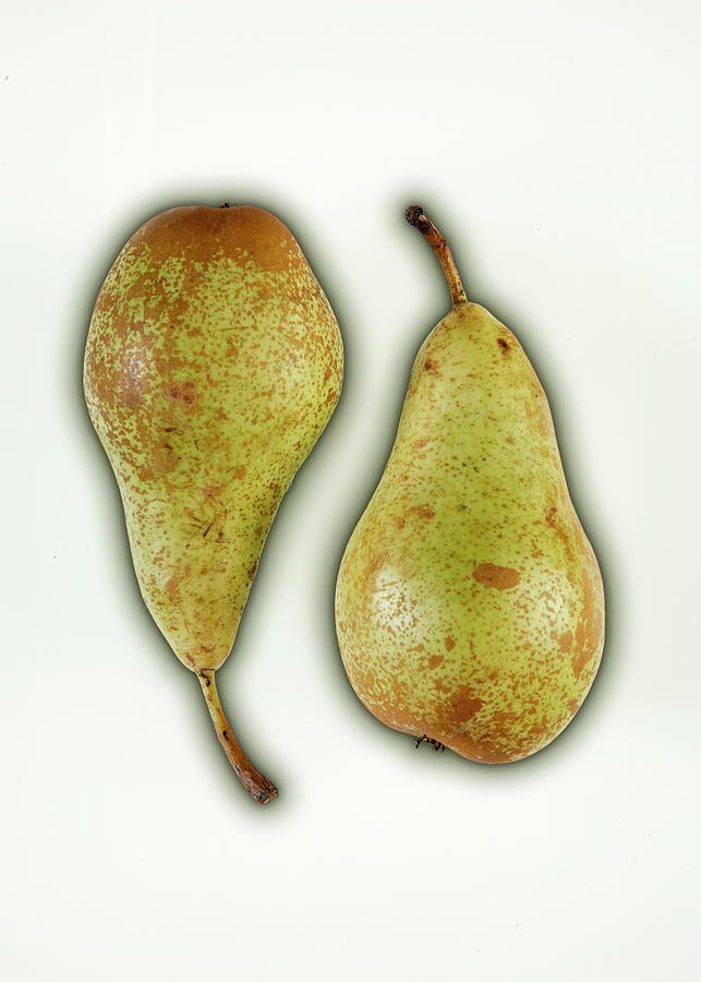 Pears by Science Photo Library